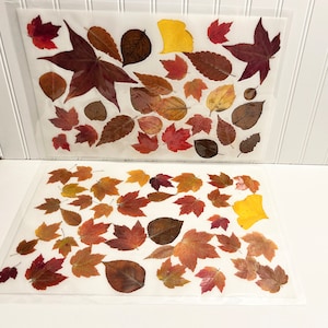 Real Fall, Autumn Leaf Laminated Place Mats Real Leaves Pressed Than ...