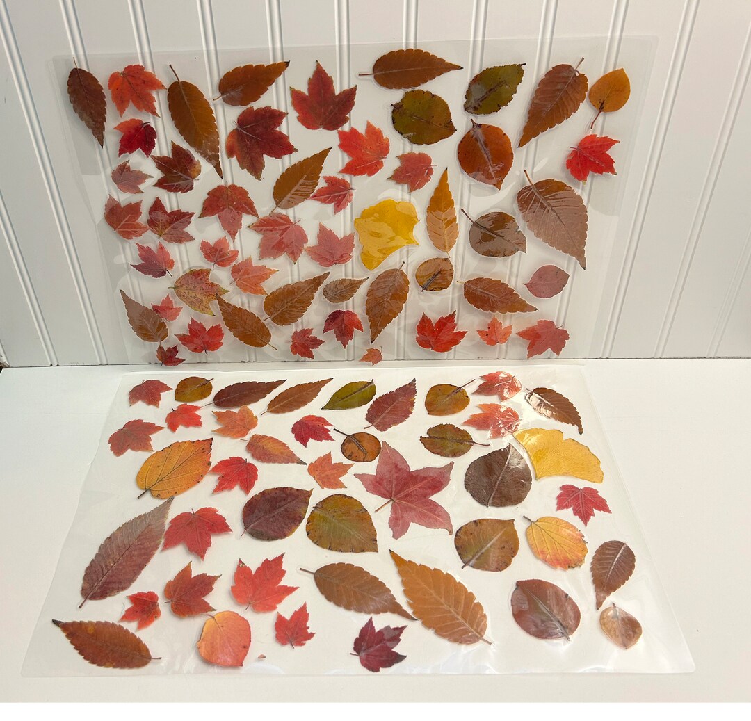Real Fall, Autumn Leaf Laminated Place Mats Real Leaves Pressed Than ...