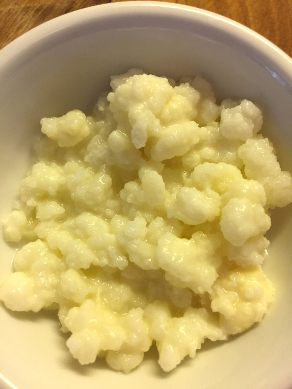 Live Milk Kefir Grains Only Grown in Whole Raw Milk Drink | Etsy