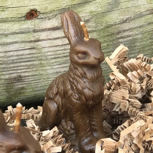 Chocolate Brown Lionhead Rabbit Sticker Cute Bunny Sticker | Etsy