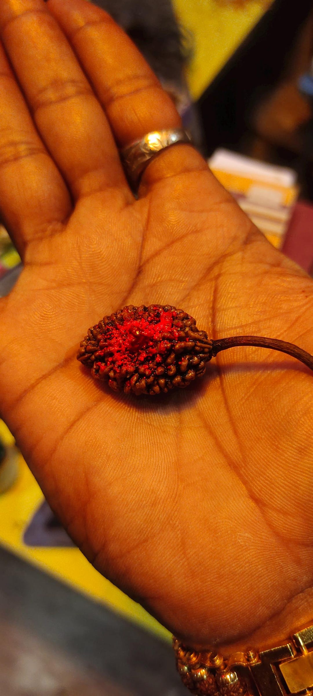 Rare One Face Nagdev Rudraksha Bead | Sacred Lord Shiva Meditation Bead ...