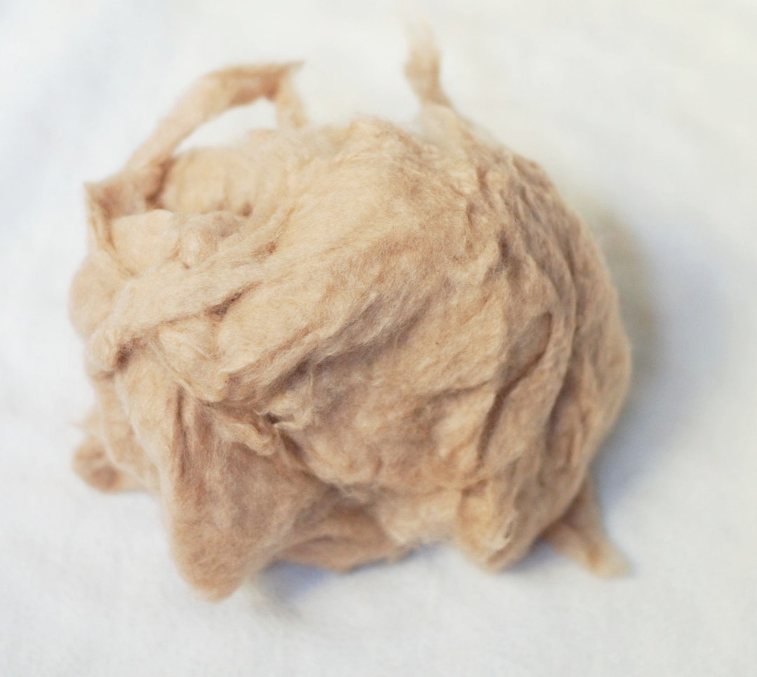 Mongolian Cashmere, Light Brown, Carded Fiber for Spinning, Felting ...