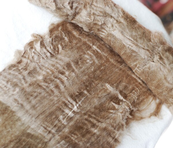 FELT veltinis Book by Vilte Kazlauskaite in Pdf File - Etsy Canada