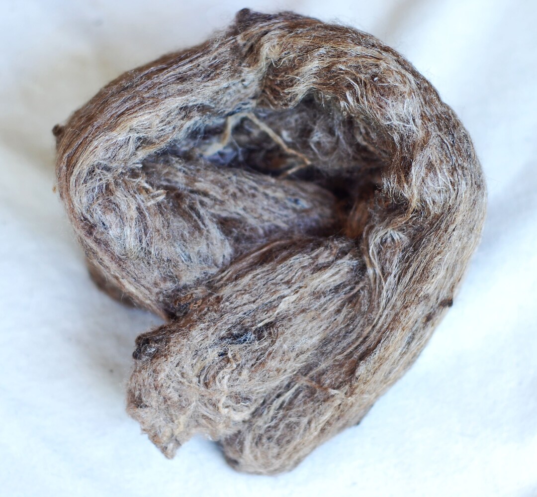 Silk Fiber, Raw Wild Tussar Silk, Fiber for Spinning, Felting, Natural ...