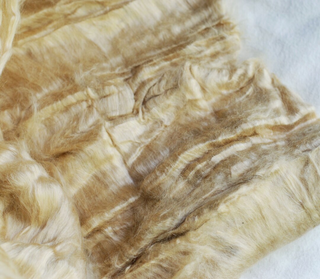 Golden Muga Silk Lap, Fiber for Spinning, Felting, Natural Golden Color ...