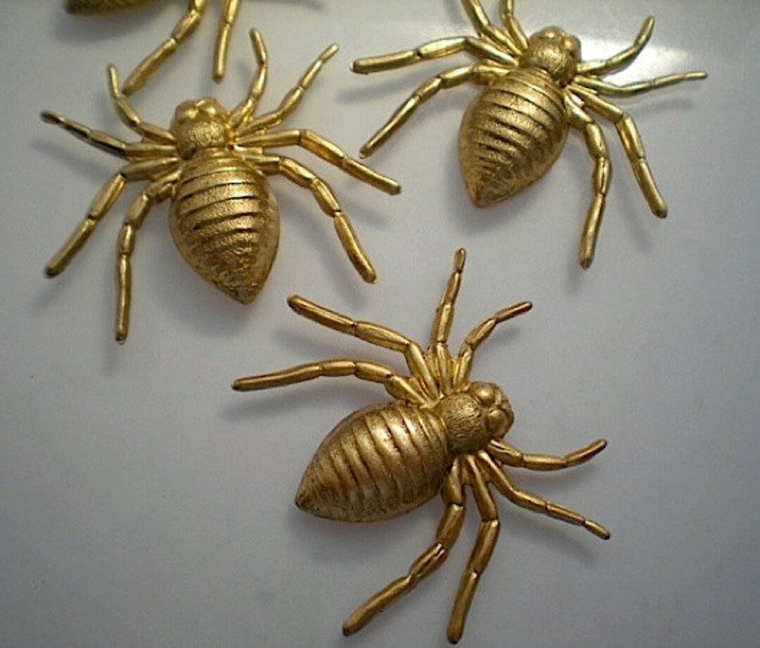 4 Brass Spider Stampings ZF727 - Etsy