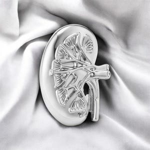 Anatomical Kidney Enamel Pin – Gold & Silver Kidney Lapel Pins for ...