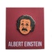 Albert Einstein Lapel Pin Science Pin Science Science Enamel - Etsy