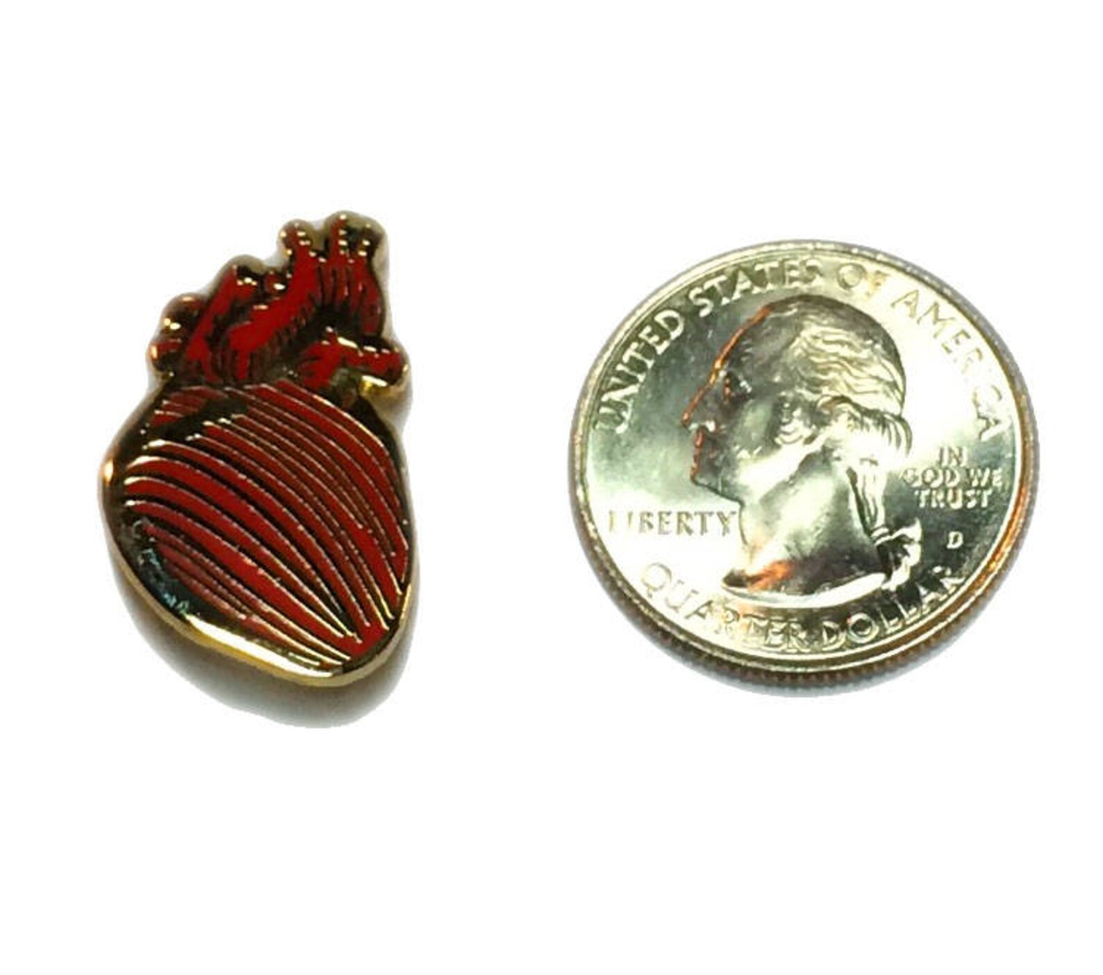 Anatomical Heart Lapel Pin Science Gift Science Pin - Etsy