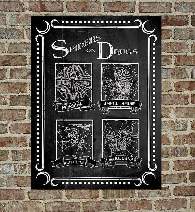 Spider on Drugs Poster - Etsy