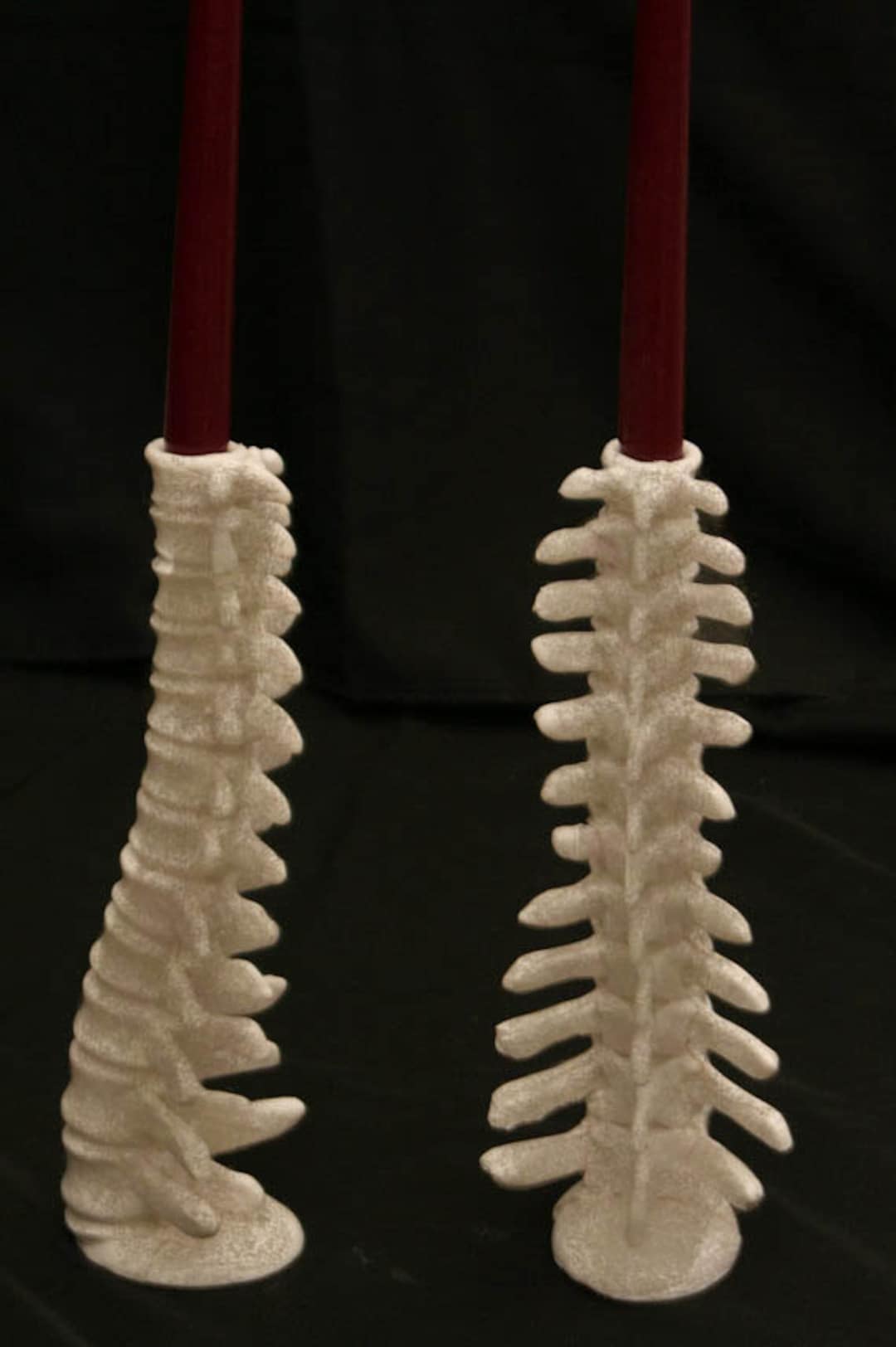 Anatomical Spine Candle Holder - Etsy
