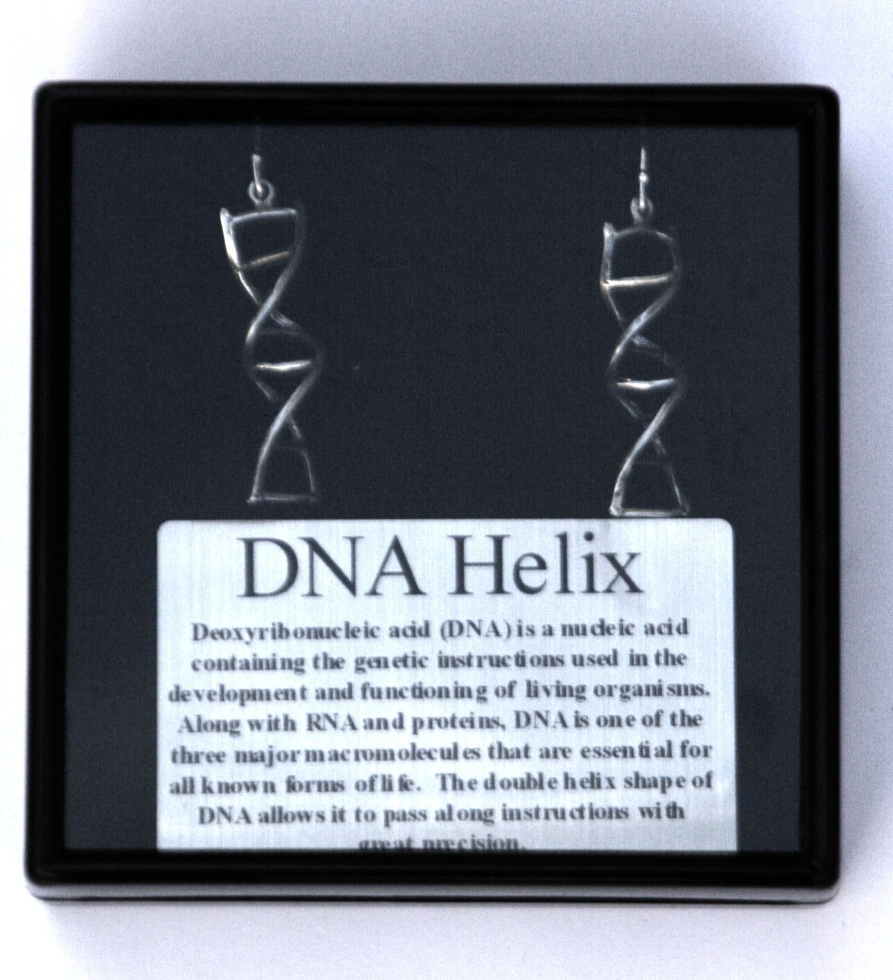 Sterling Silver DNA Earrings - Etsy