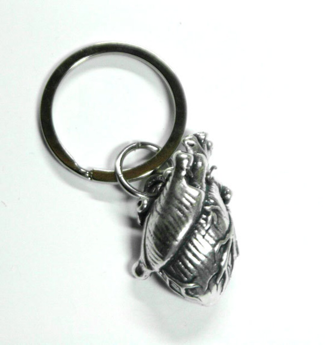 Anatomical Human Heart Locket Key Chain, Human Heart Key Chain, Anatomy ...