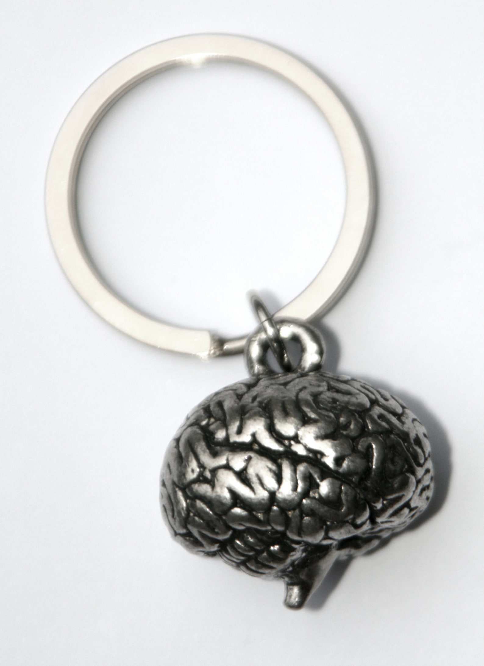 3 D Brain Key Chain - Etsy