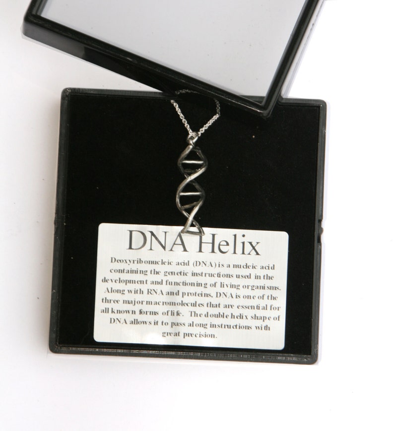 Sterling Silver DNA Necklace - Etsy