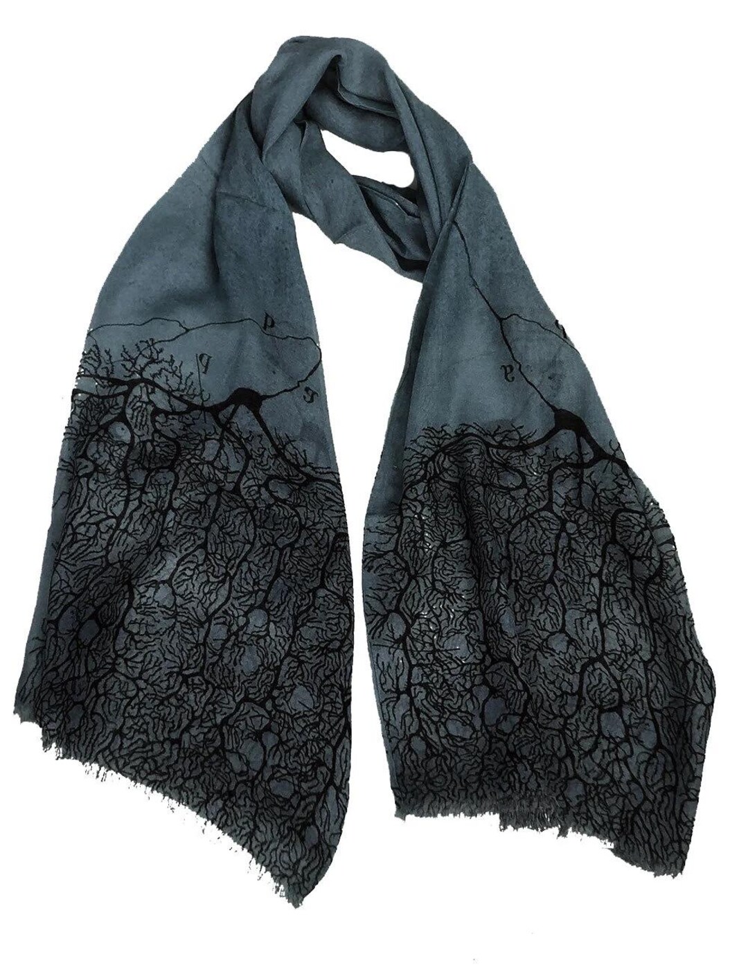 Blue Neuroscience Scarf Santiago Ramón Y Cajal-grey Blue - Etsy