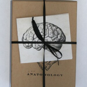Cut Out Brain Ornament - Etsy