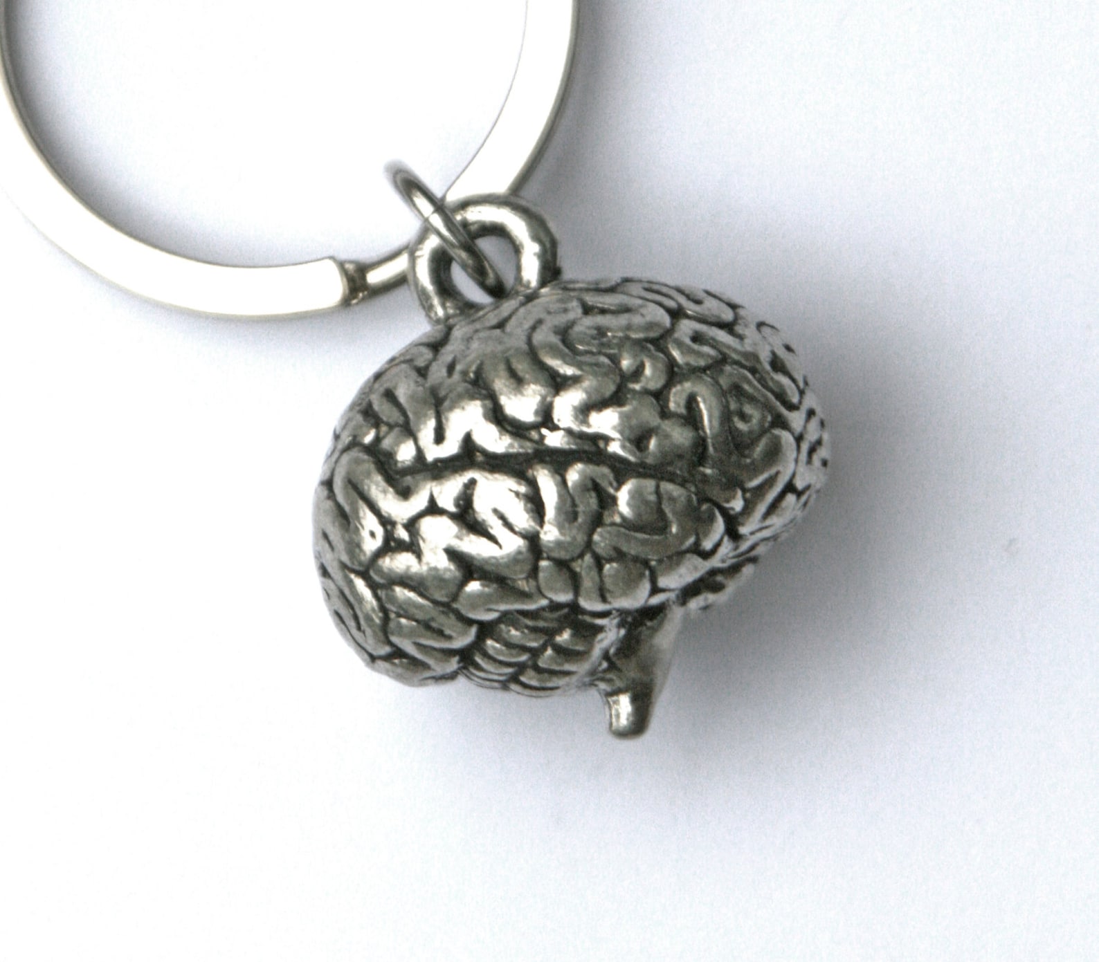 3 D Brain Key Chain - Etsy