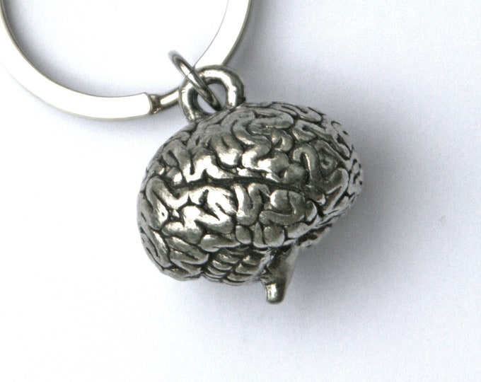 Articulating Human Brain Anatomy Keychain - Etsy