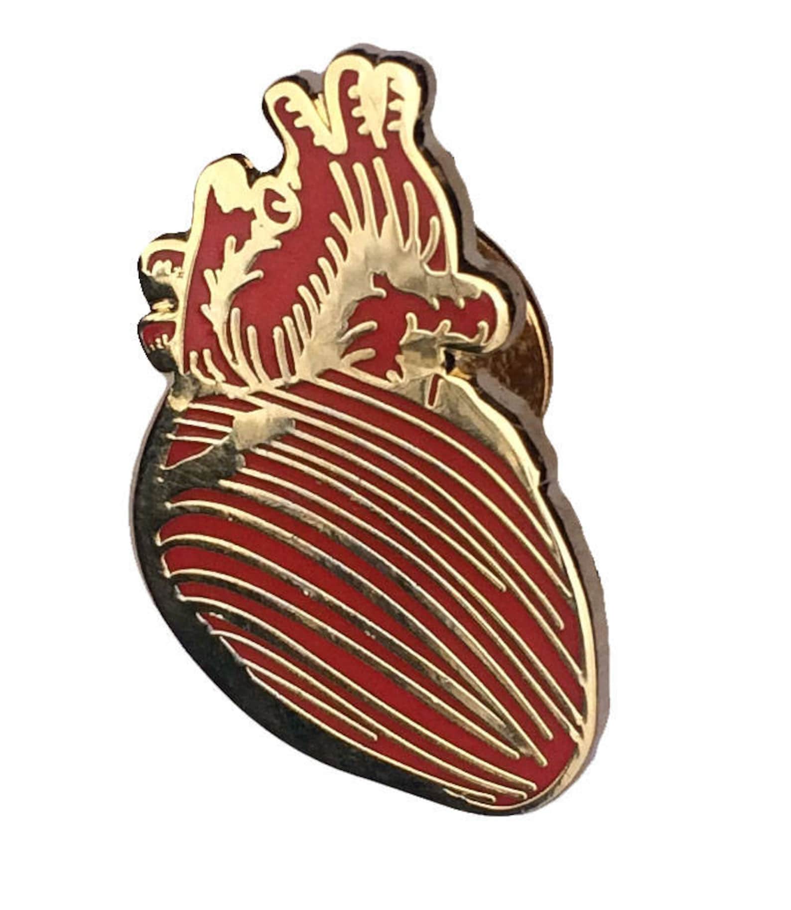 Anatomical Heart Lapel Pin Science Gift Science Pin - Etsy