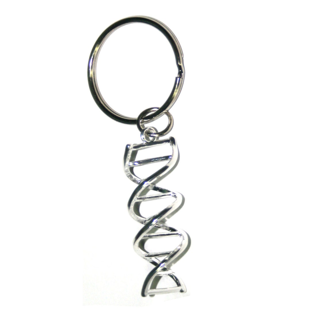 DNA Helix Science Key Chain, Science Key Chain, DNA Key Chain, DNA - Etsy