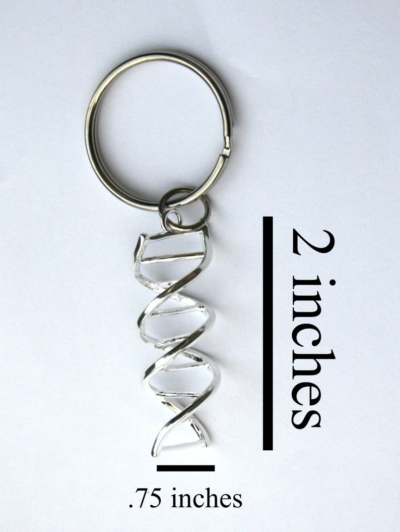 DNA Helix Science Key Chain Science Key Chain DNA Key Chain | Etsy