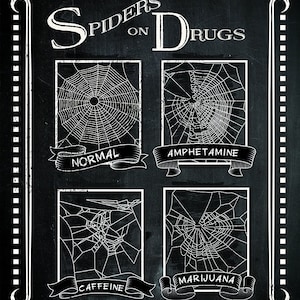 Spider on Drugs Poster - Etsy