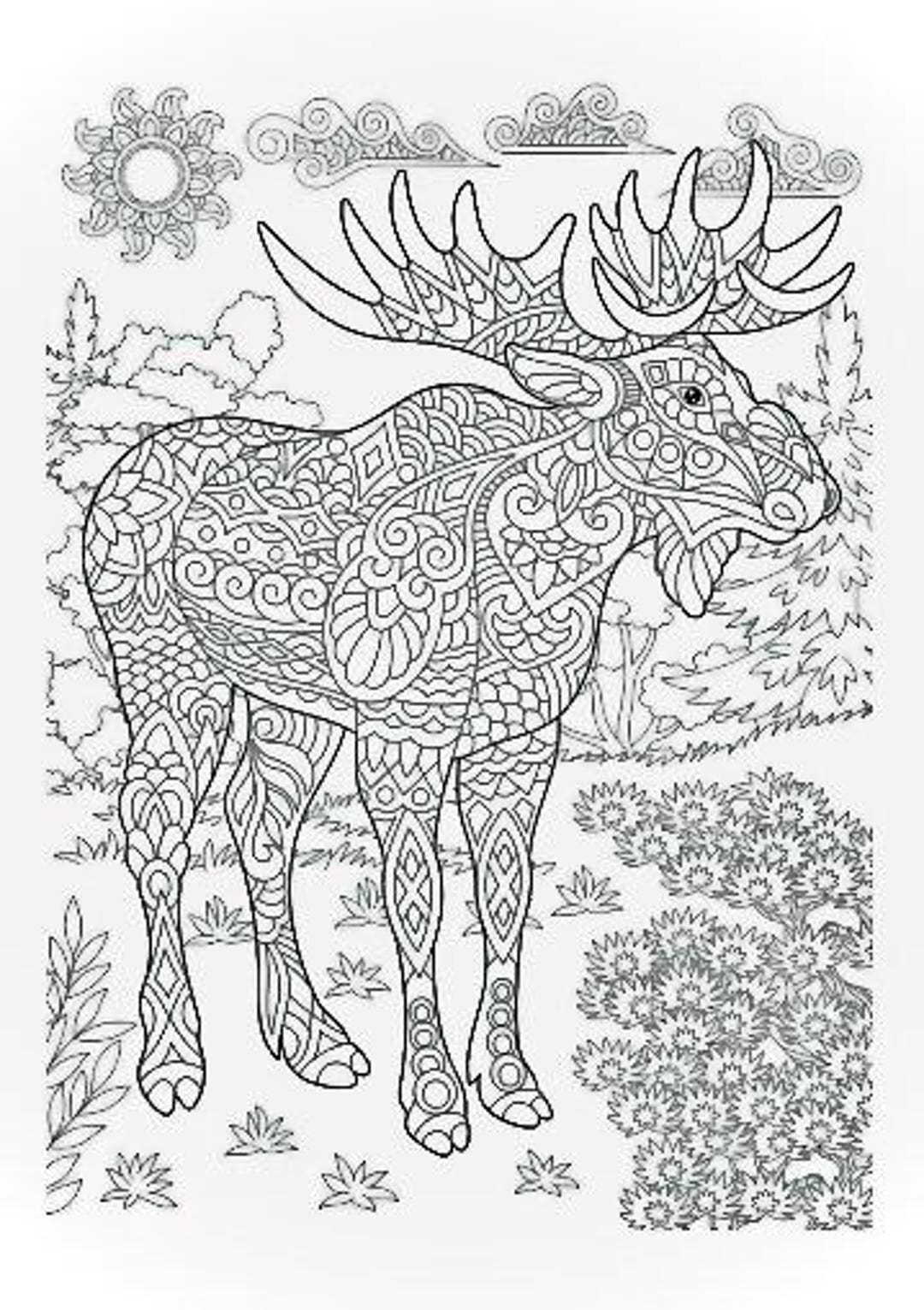 Relaxing Animals Prints for Coloring - Etsy