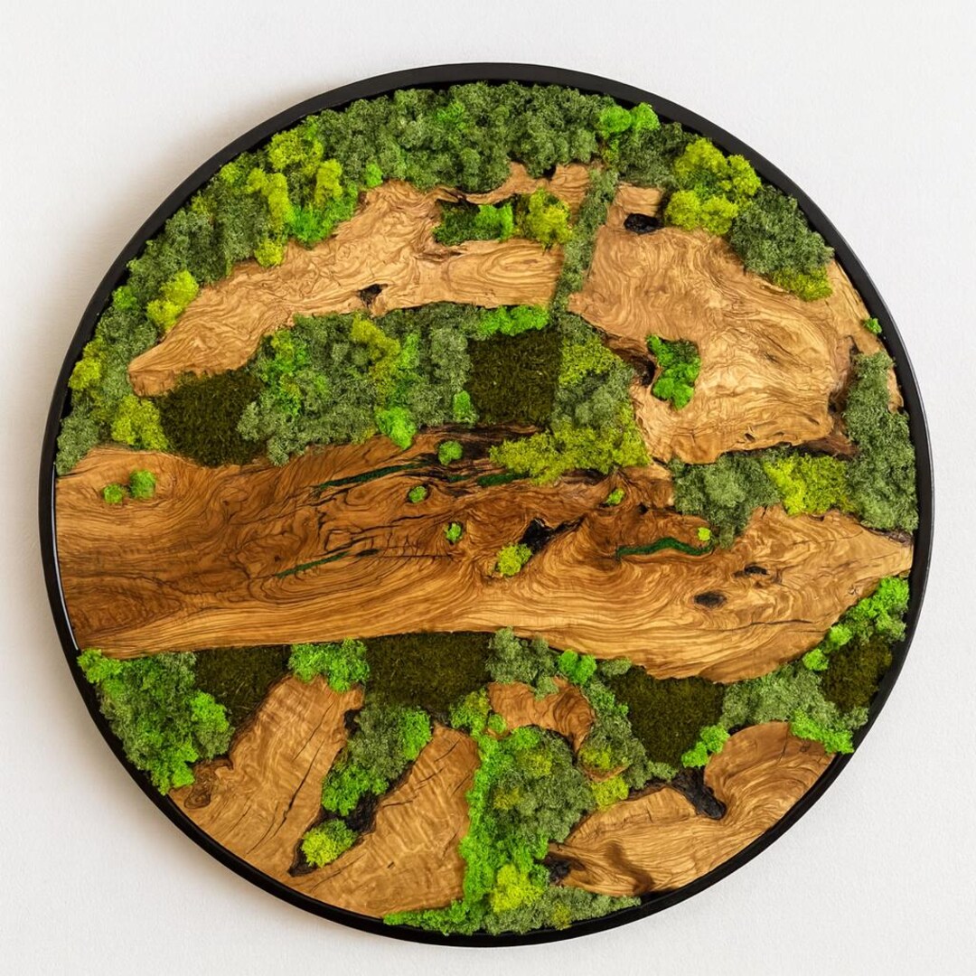 Olive Wood & Moss Wall Art, Handmade Natural Round Wall Decor - Etsy