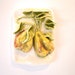 Pears ~ Ceramic Fruit Tile ~fruit Wall Decor ~ Fruit Wall Plaques ...