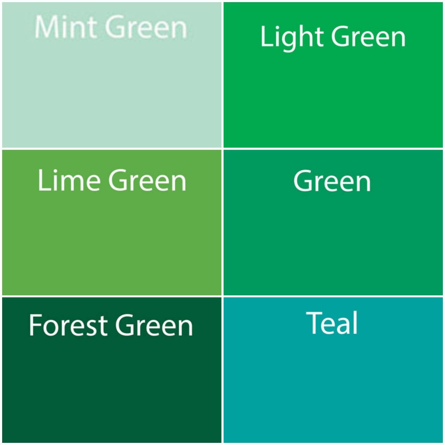 Endangered Species Decal. Stick Shift - Etsy