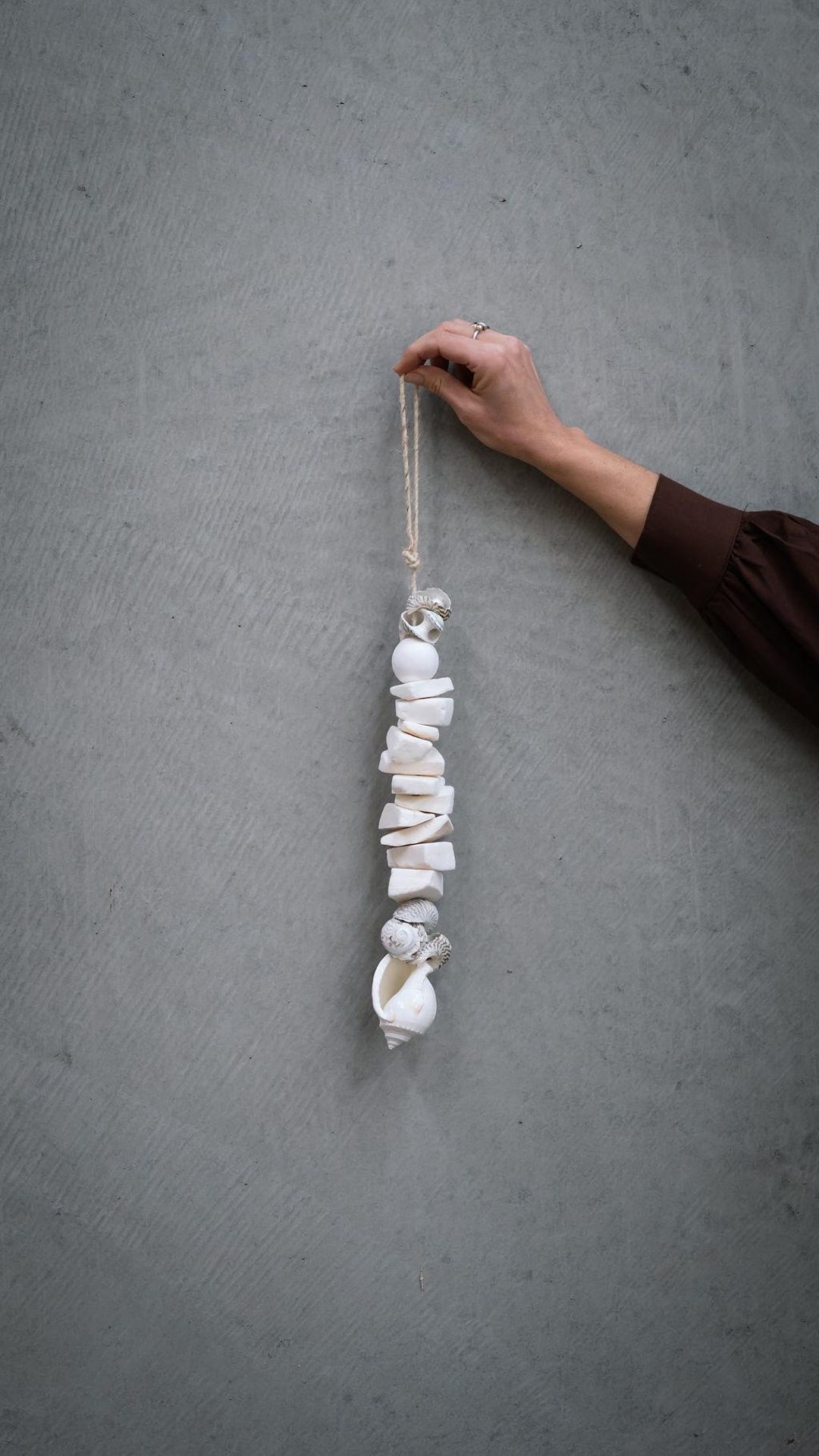 Seaside Shell and Cuttlefish Strand: Coastal Decor, Ethically Foraged ...