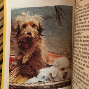 Vintage 70's "benji Books" - 3 - "for the Love of Benji" - "the ...