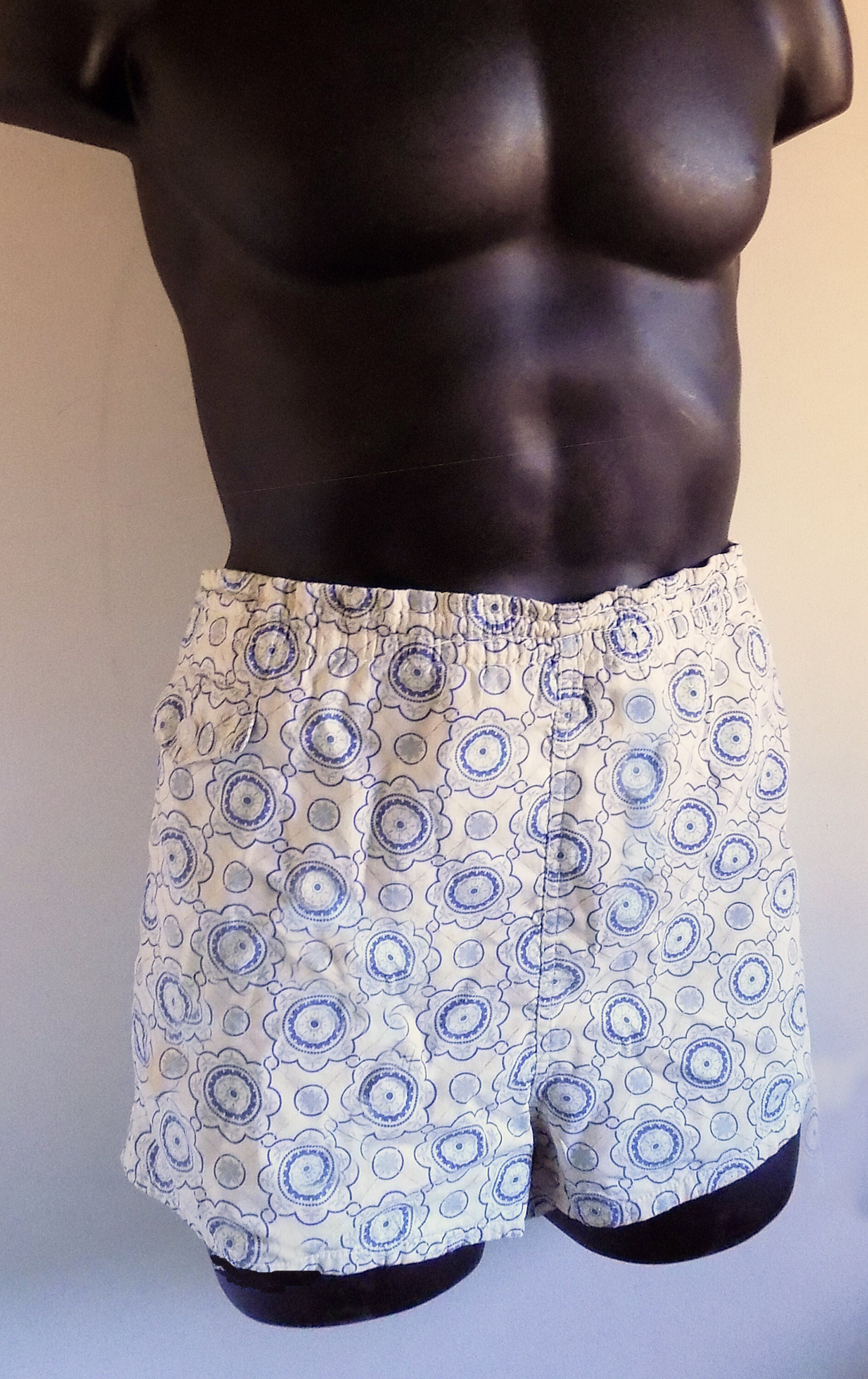 1950s-60s BVD Cotton Lined Swimming Trunks / Blue and White / | Etsy