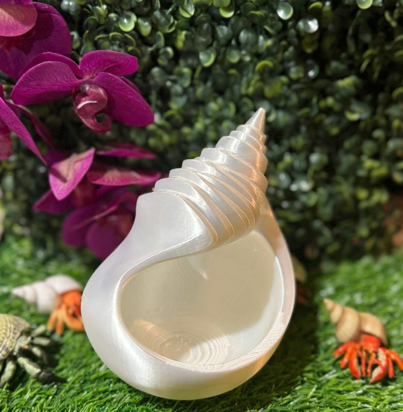 Shell Hide & Moss Pit – Cozy, Beachy Comfort for Your Hermit Crabs - Etsy