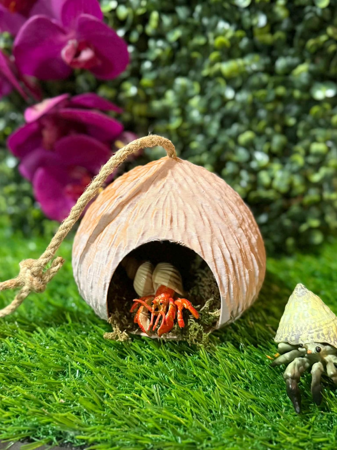 Crabbie Coconut Hut - Etsy