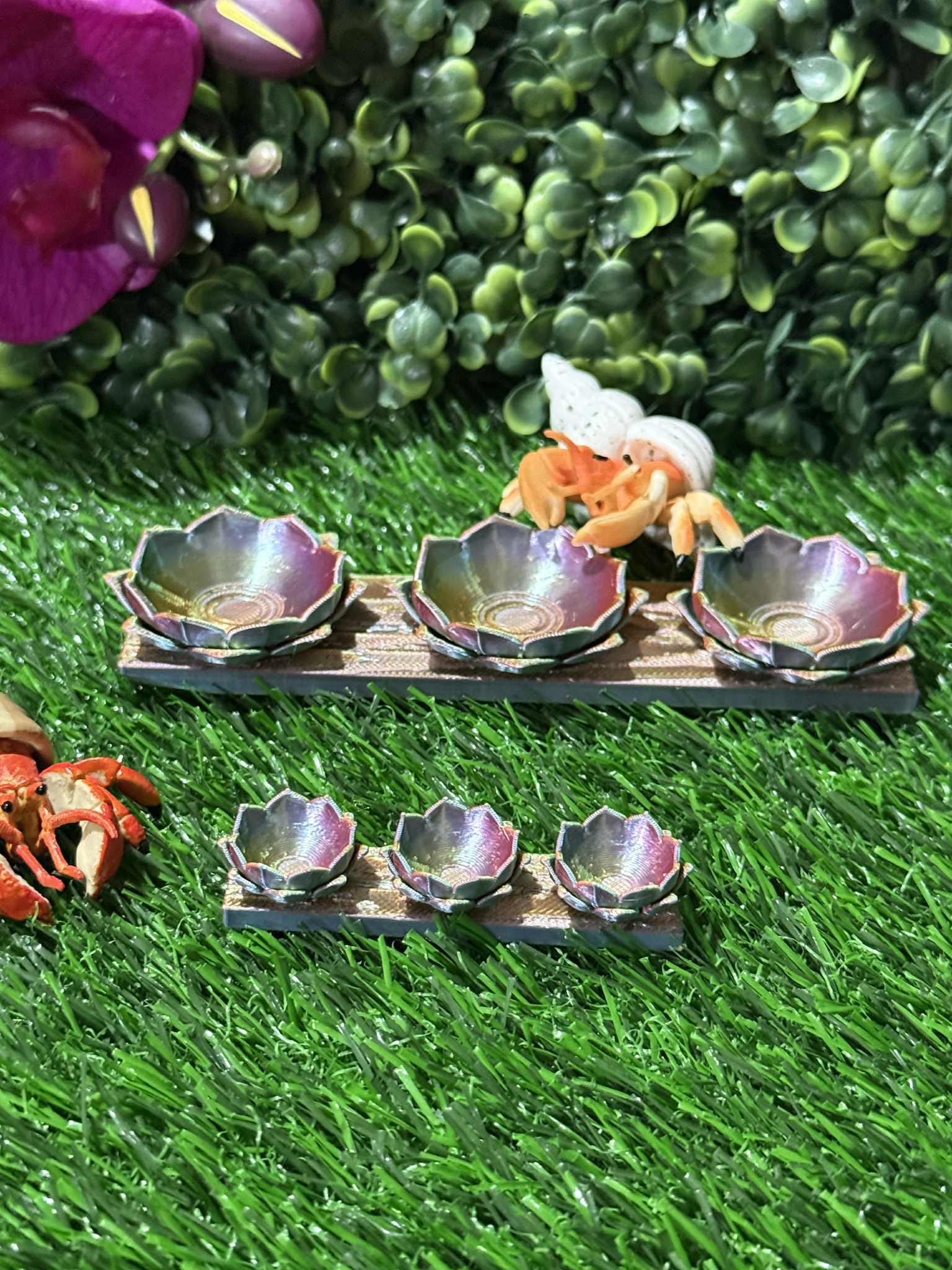 Hermit Crab Feeding/oil Dish Combo - Etsy