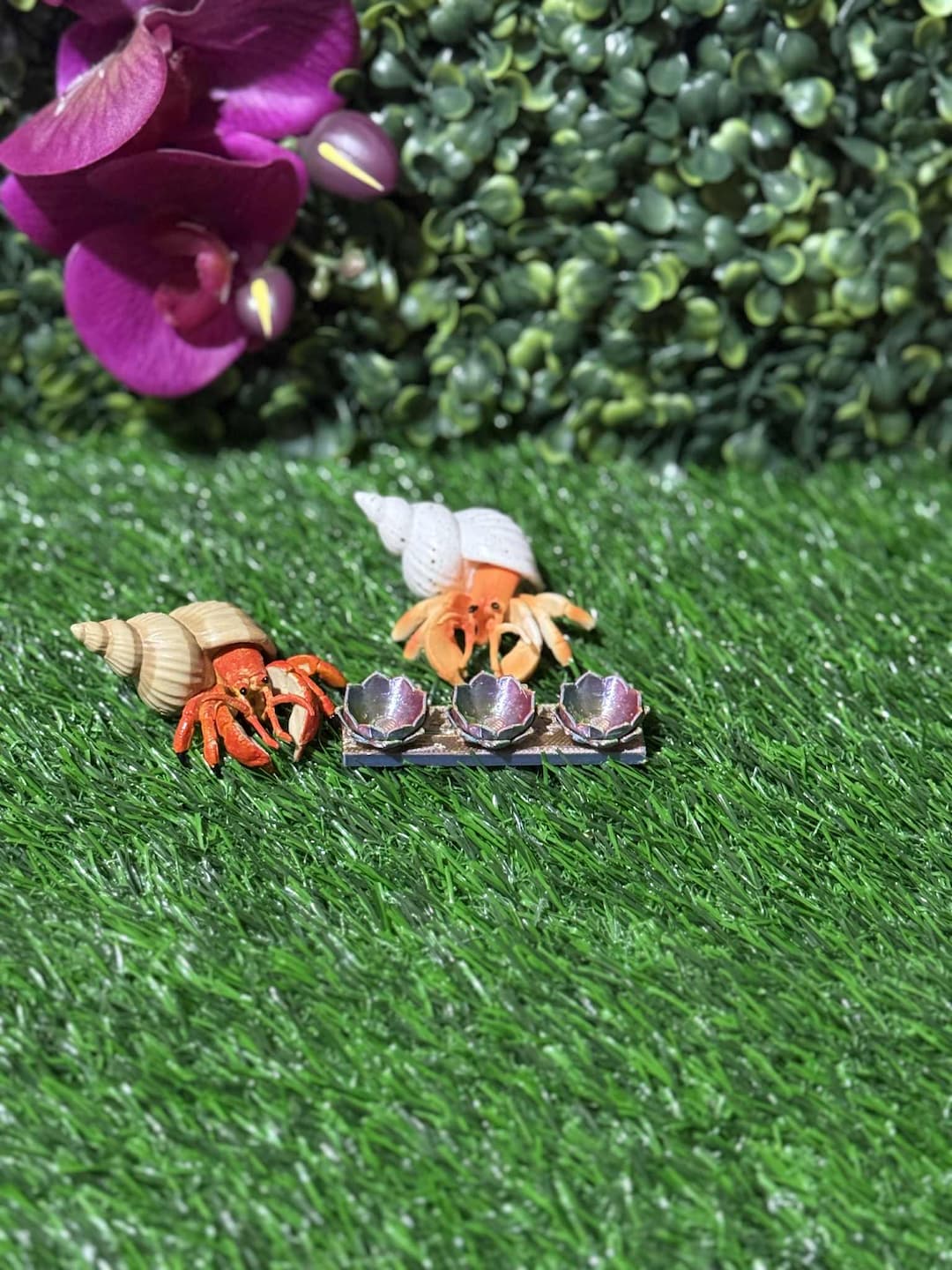 Hermit Crab Oil Dish - Etsy
