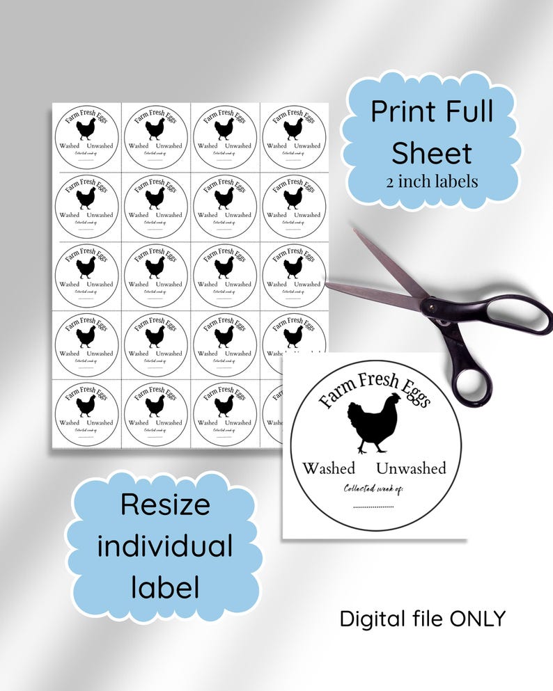 Printable Egg Carton Label Farm Fresh Egg Sticker Digital Download PDF ...