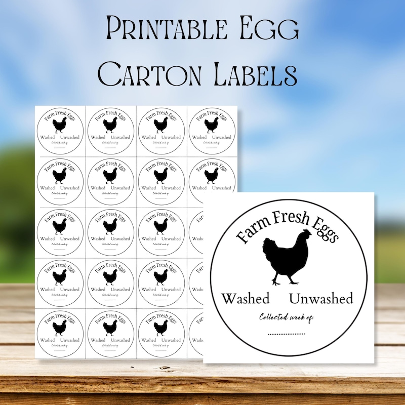 Fresh Egg Card Digital - Etsy