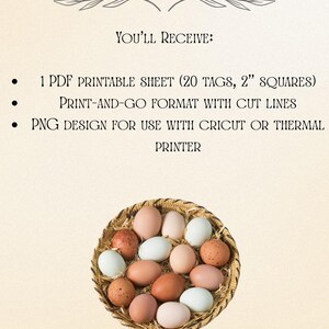 Printable Egg Carton Label Farm Fresh Egg Sticker Digital Download PDF ...