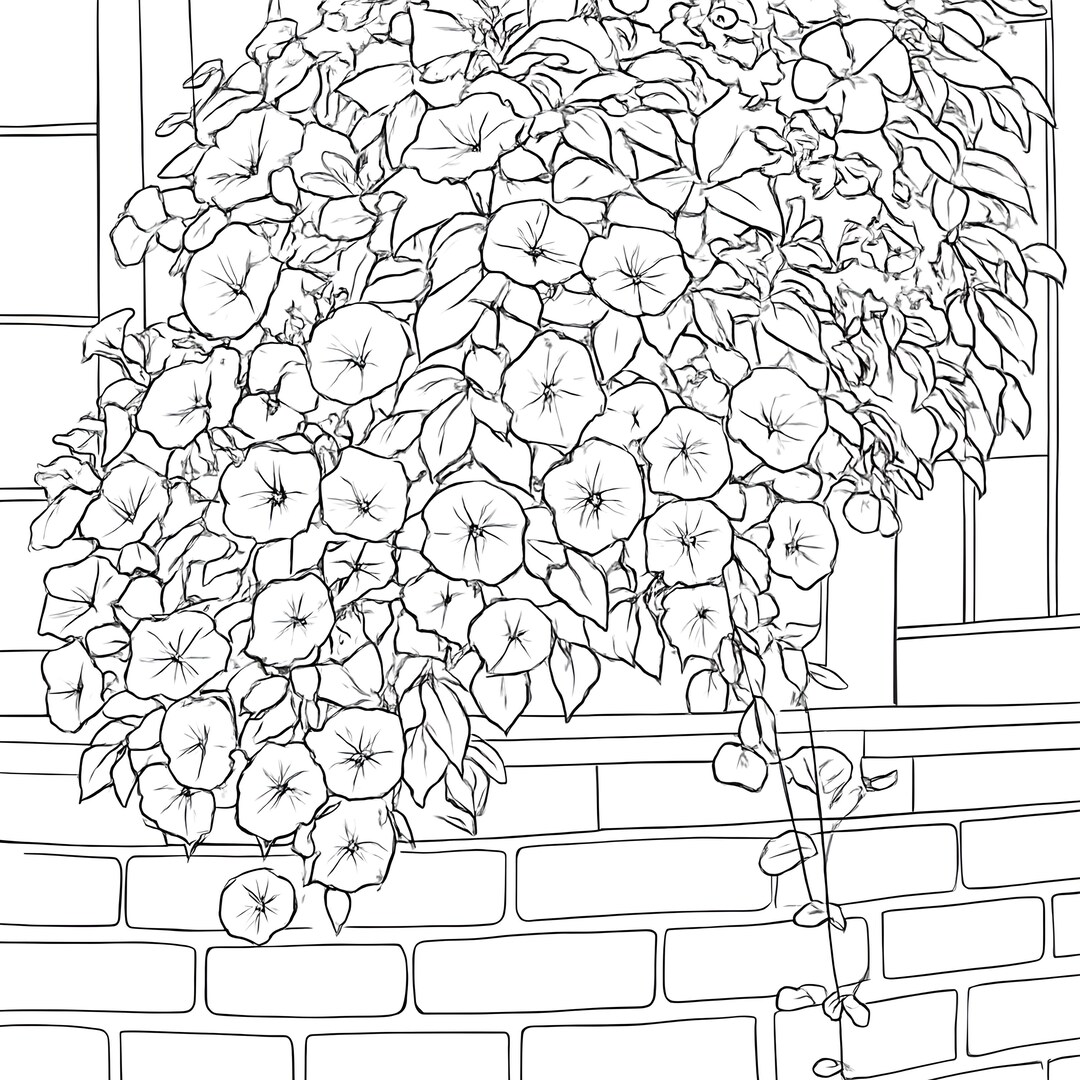 Intricate Coloring Pages Printable | Therapeutic Coloring for ...