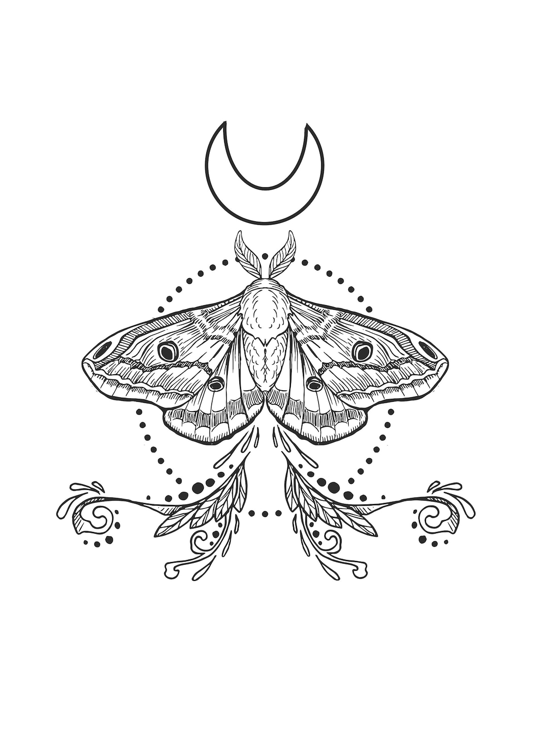 Nocturnal Navigator Coloring Page - Etsy