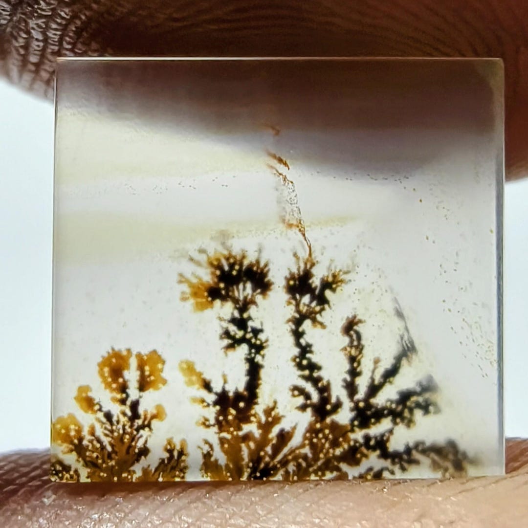 3.80 Cts Natural Shazar Dendritic Agate Cabochon Gemstone 13.1x12.1x1.9 ...