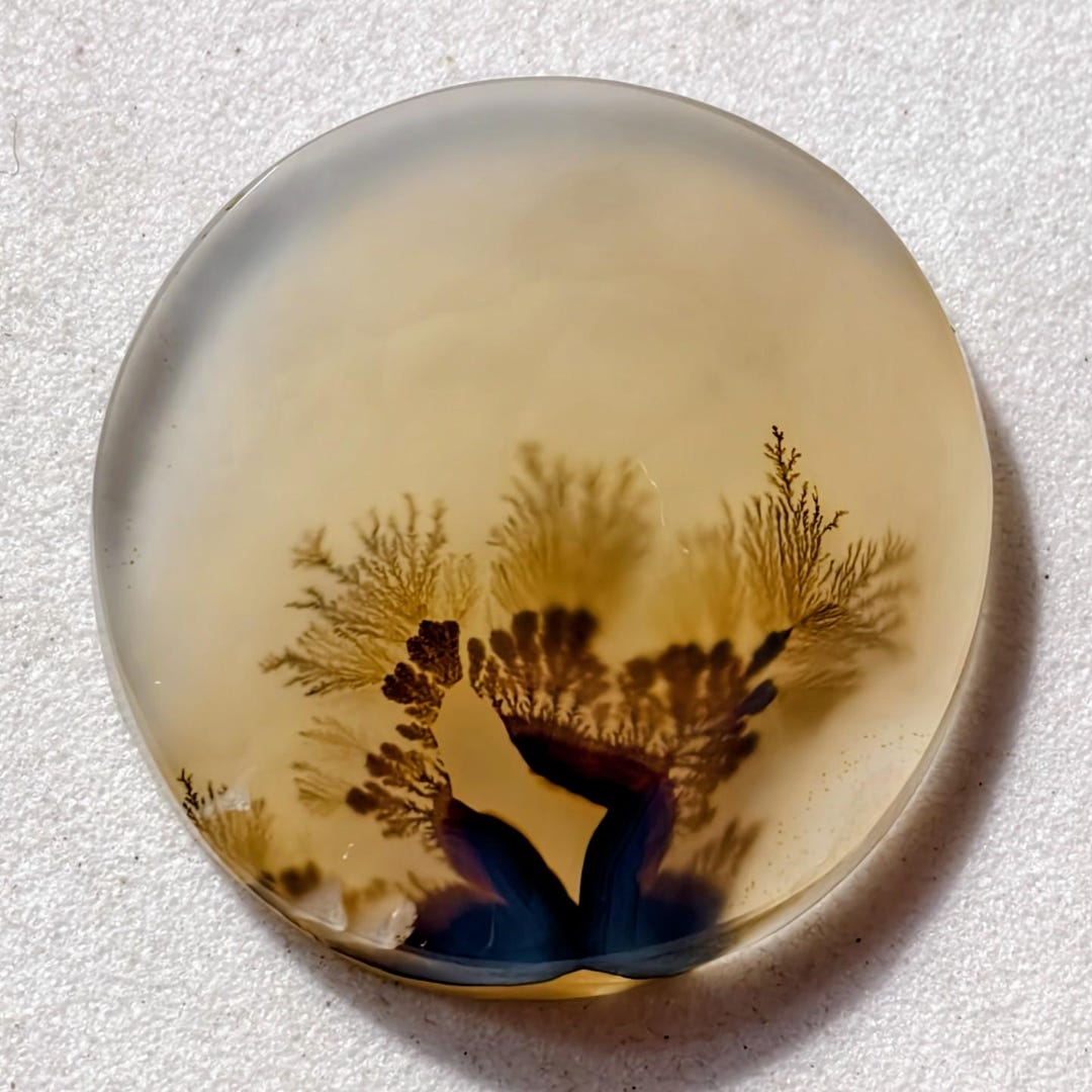 11 Cts Natural Shazar Dendritic Agate Cabochon Gemstone 20.9x20.4x3.3 ...