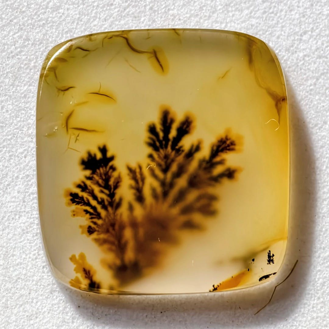 6 Cts Natural Shazar Dendritic Agate Cabochon Gemstone 14.7x14.2x2.7 MM ...
