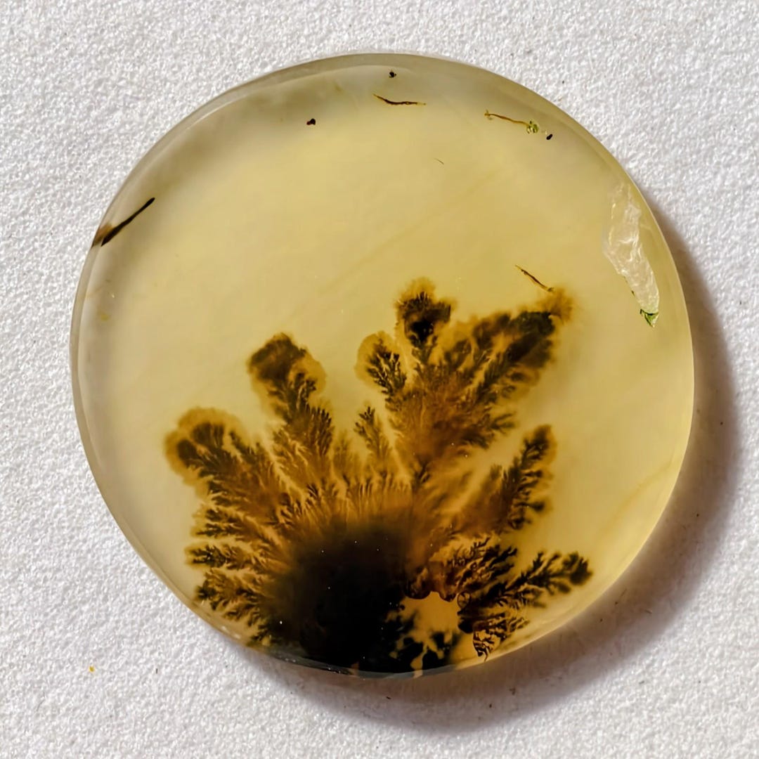 11 Cts Natural Shazar Dendritic Agate Cabochon Gemstone 21.7x21.6x2.9 ...