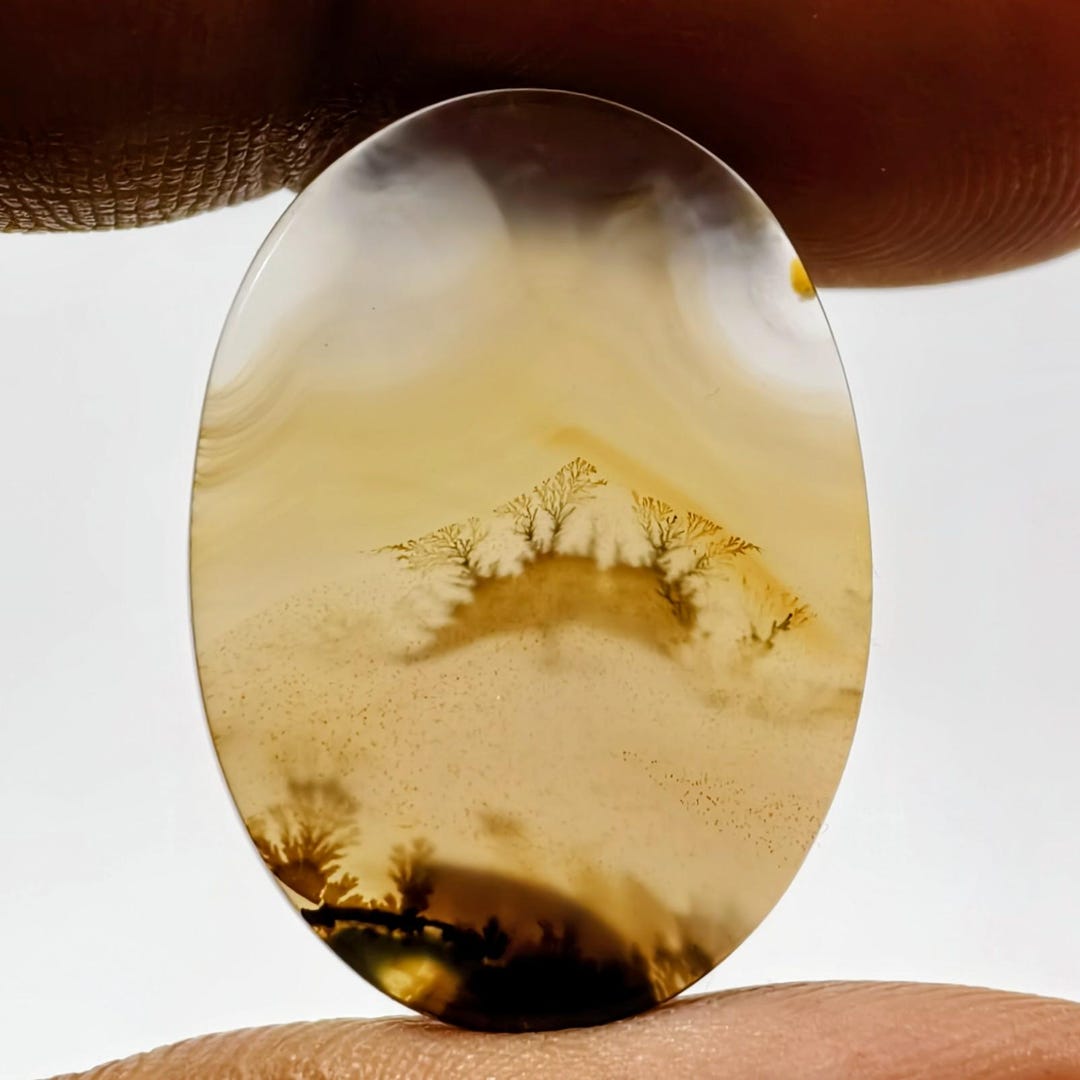 9 Cts Natural Shazar Dendritic Agate Cabochon Gemstone 23.3x16.9x2.3 MM ...