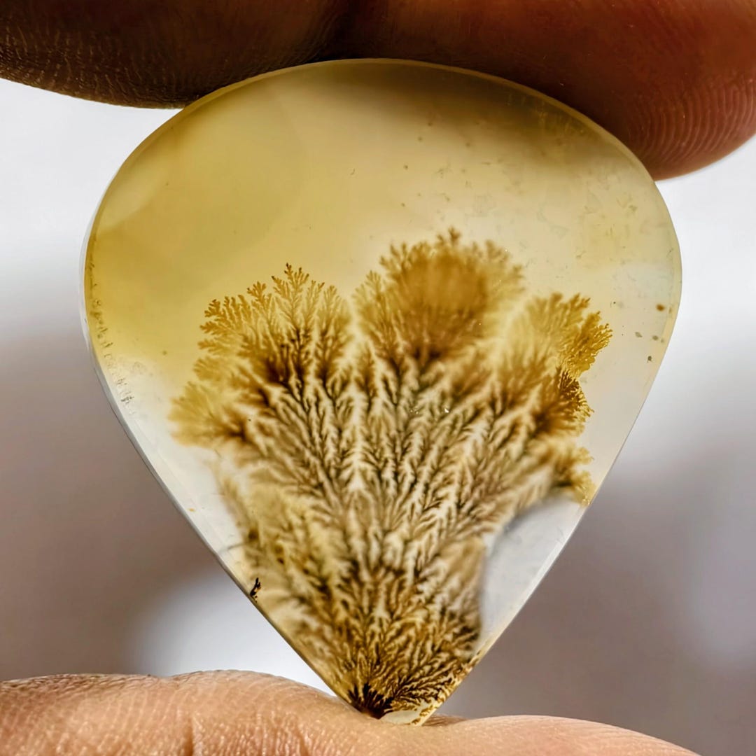 29 Cts Natural Shazar Dendritic Agate Cabochon Gemstone 31.8x28x4.3 MM ...