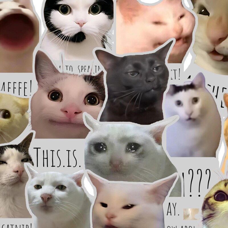 Gatos stickers - Etsy España